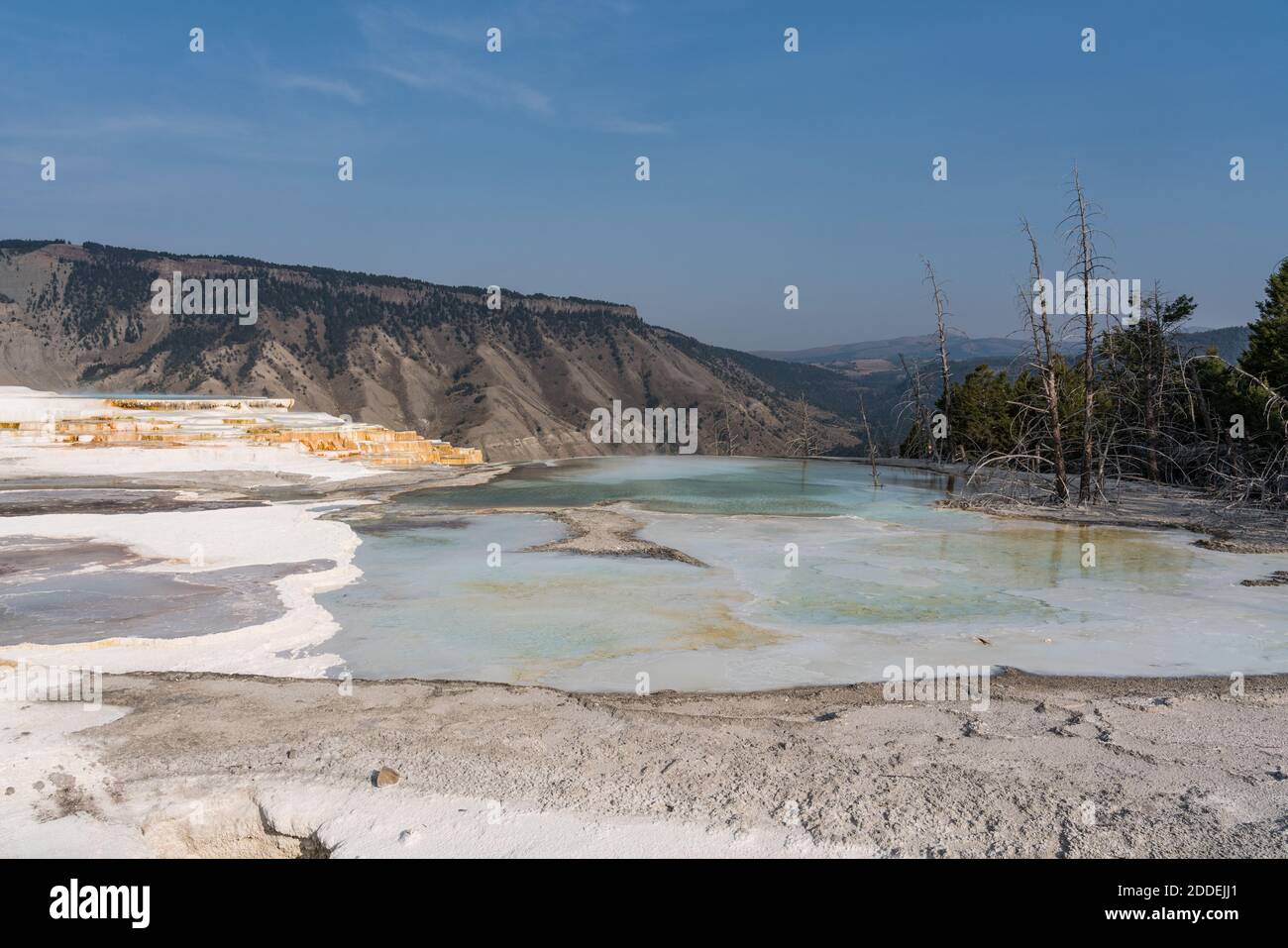 Canary Spring terraces and pools, Main Terrace, Mammoth Hot Springs ...