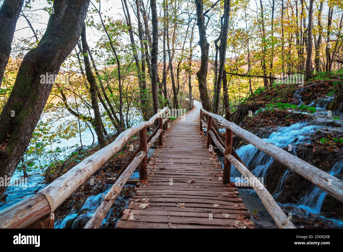 Wooden bridge in the forest, Plitvice lakes National park, Croatia ...