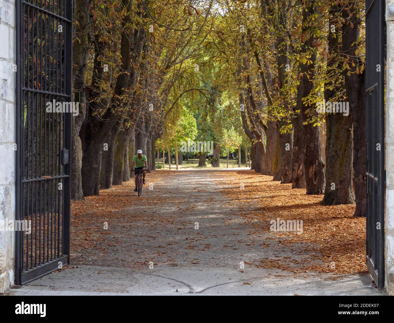 Movie el parral hi-res stock photography and images - Alamy