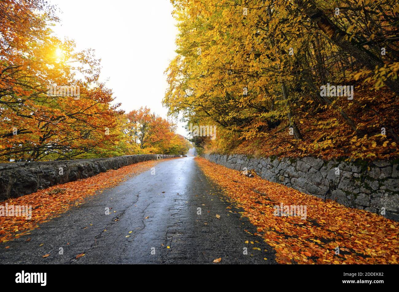 Creative calm asmr hi-res stock photography and images - Alamy