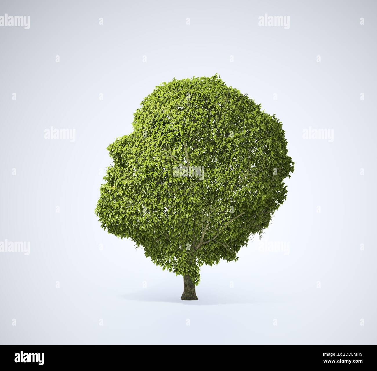 Creative calm asmr hi-res stock photography and images - Alamy