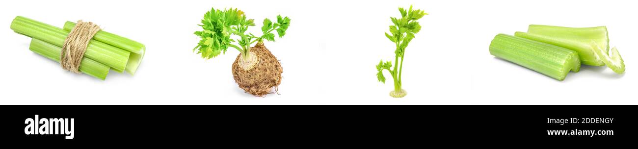 Group of celery on a white background cutout Stock Photo - Alamy