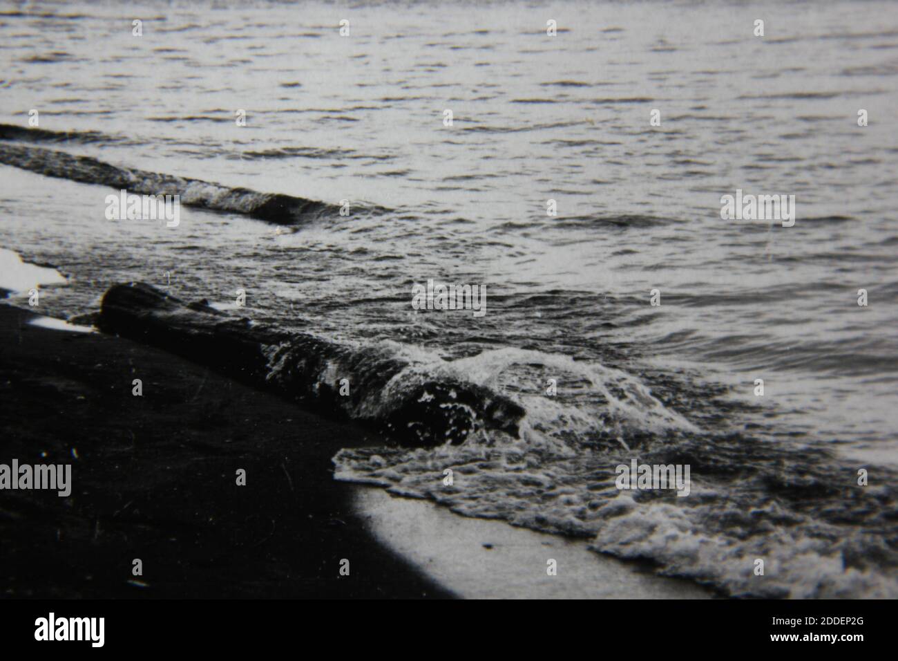 Fine 1970s vintage black and white photography of the natural beauty of ...