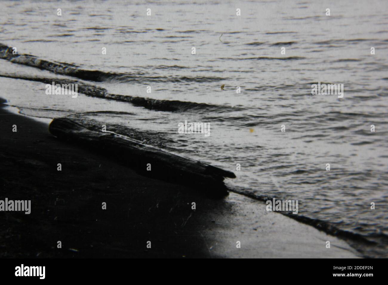 Fine 1970s vintage black and white photography of the natural beauty of ...