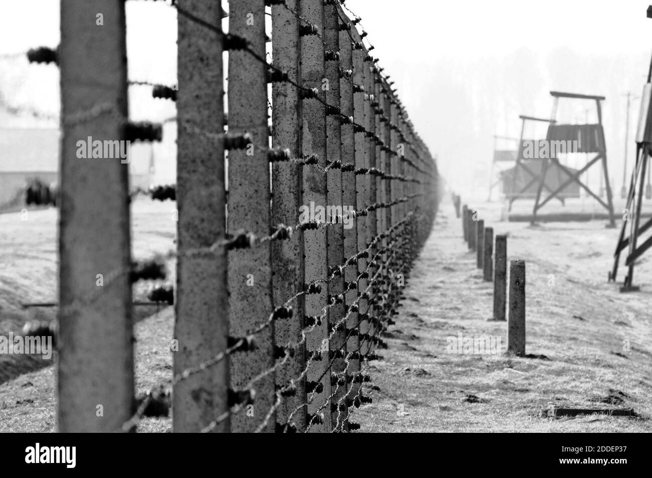 Human atrocity hi-res stock photography and images - Alamy