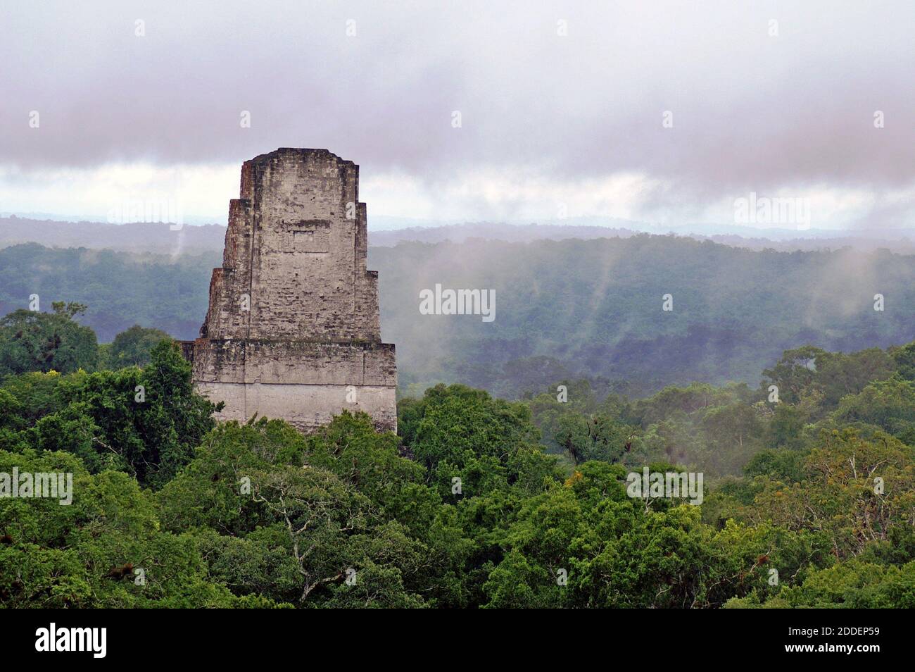 Tikal forest cover hi-res stock photography and images - Alamy