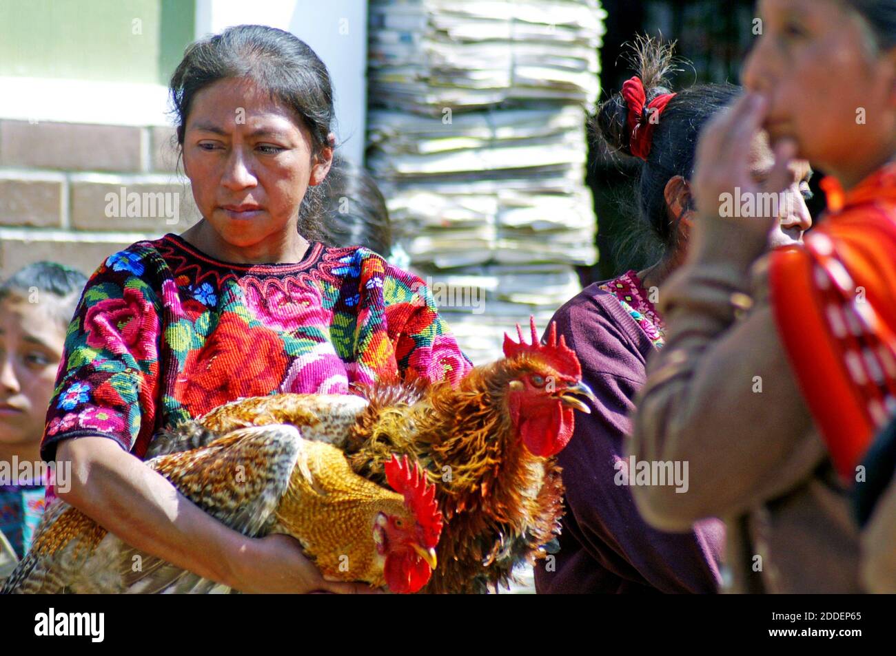Mayan woman holds two chickens hi-res stock photography and images - Alamy