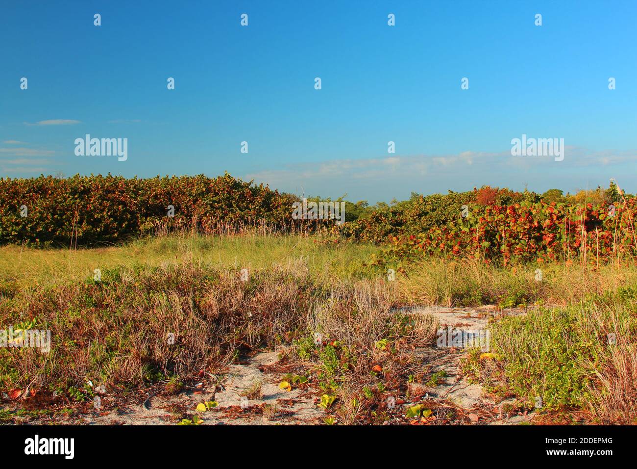 Wide shot of nature Stock Photo - Alamy