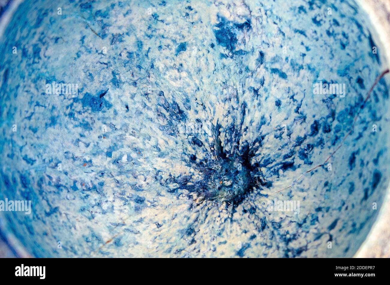 Graphic resources. Natural plant backgrounds Stock Photo - Alamy