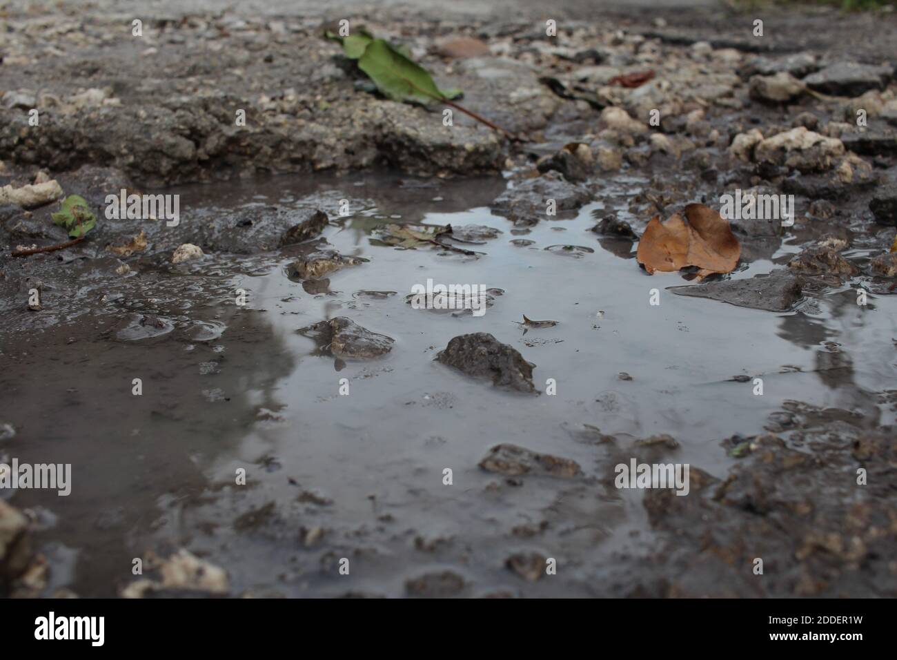 Muddy puddle road after rain hi-res stock photography and images - Alamy