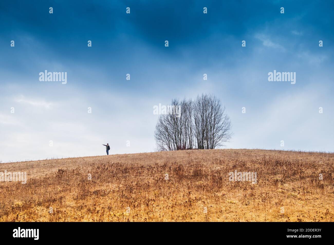 A lonely man stands on a mountain, a lonely tree Stock Photo - Alamy