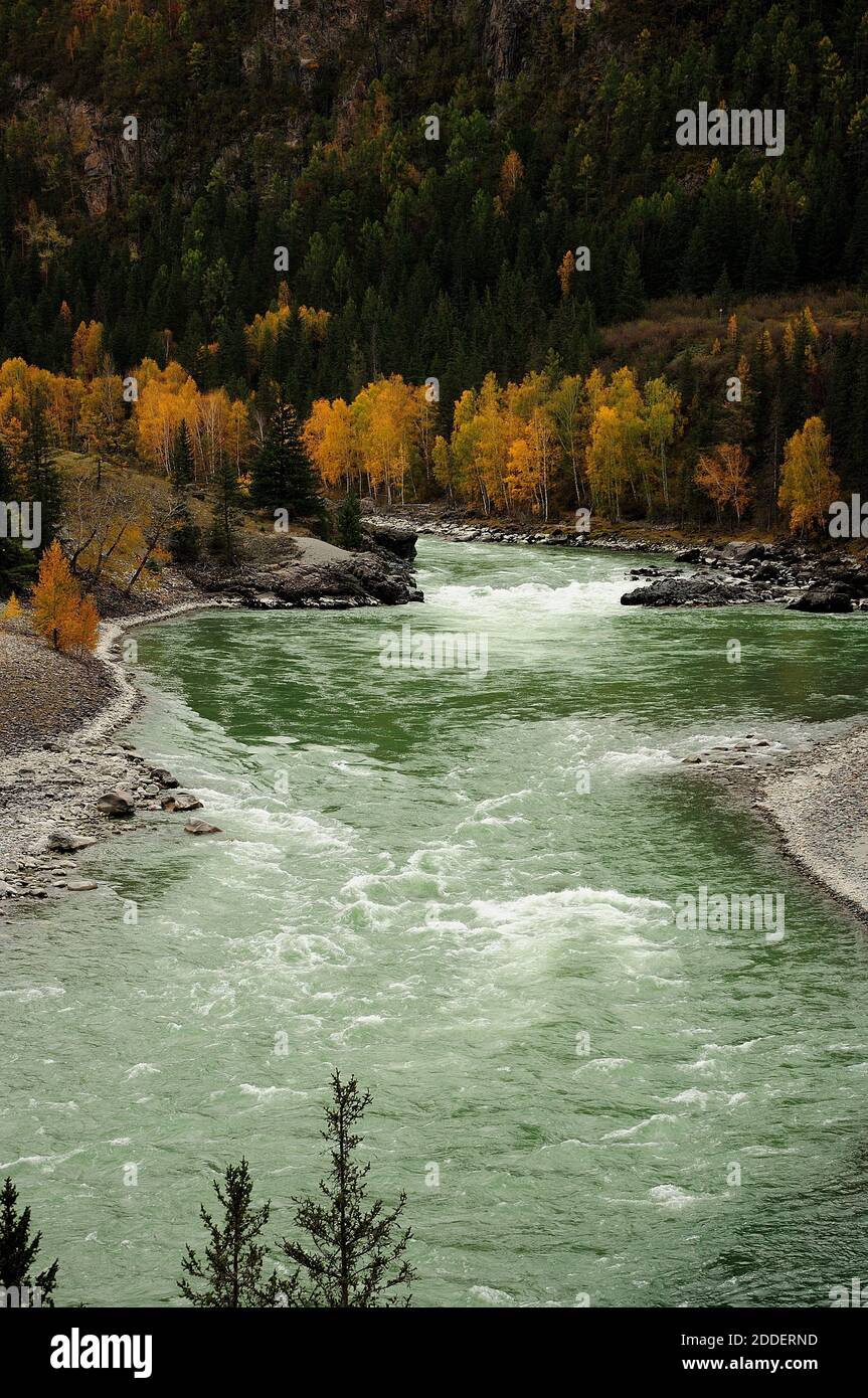 The turquoise river flows down from the mountains in a stormy stream ...