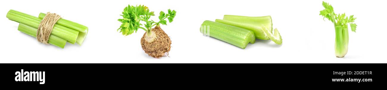 Group of celery on a white background cutout Stock Photo - Alamy