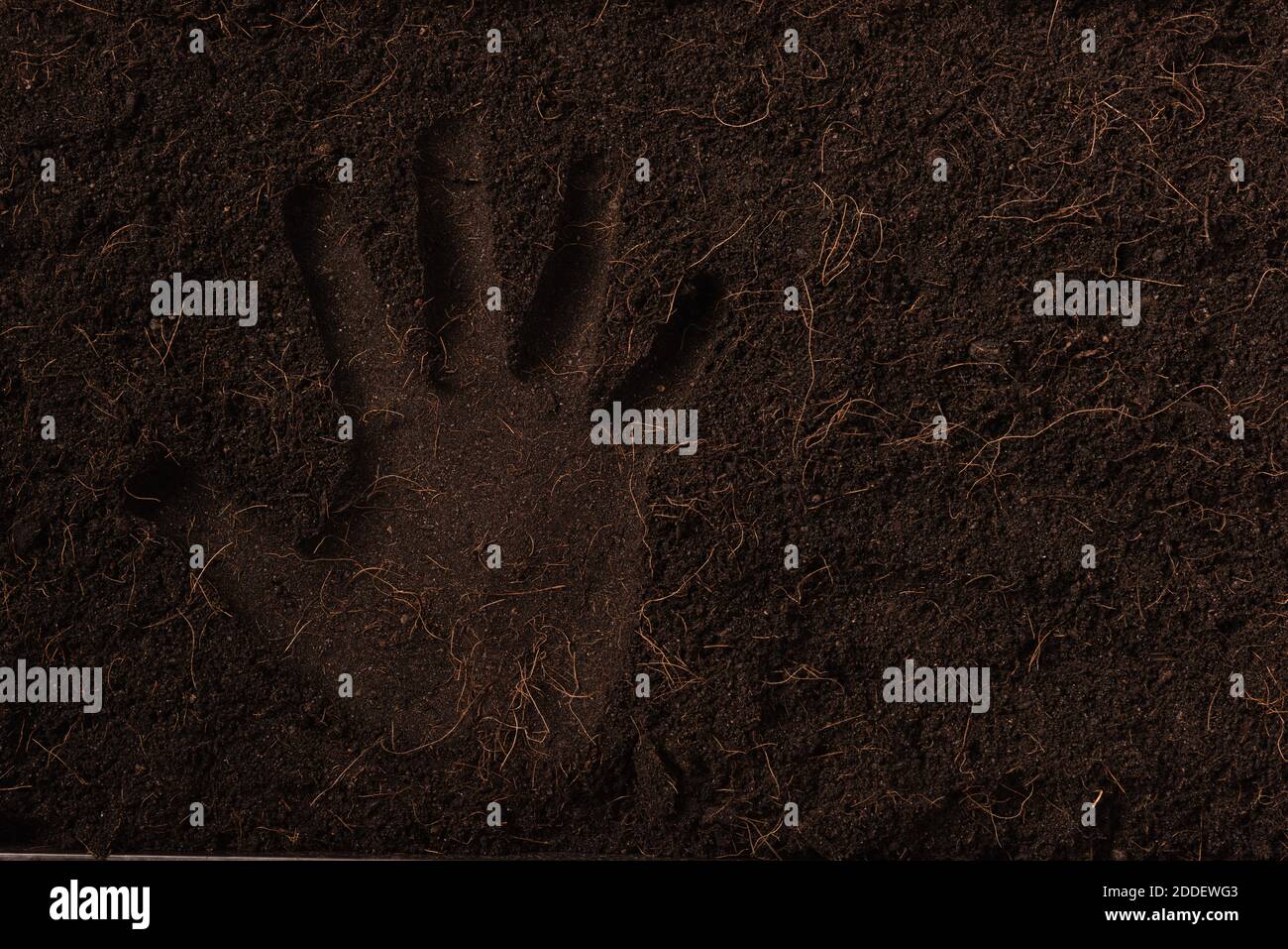 Hand print in black land for plant background, Top view of Handprint on ...