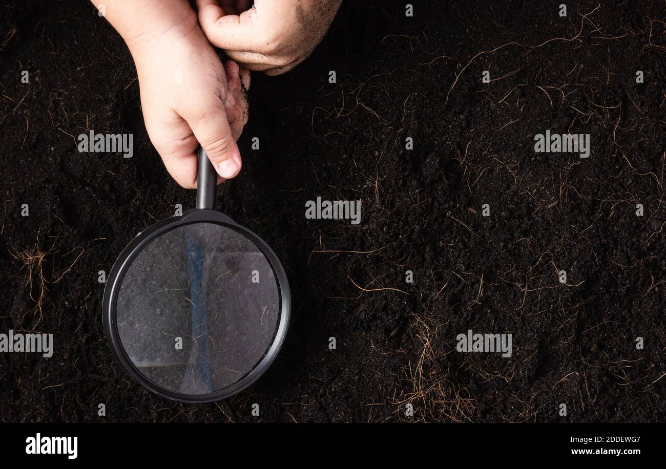 Top view of child hand hold magnifying glass for check black soil at ...