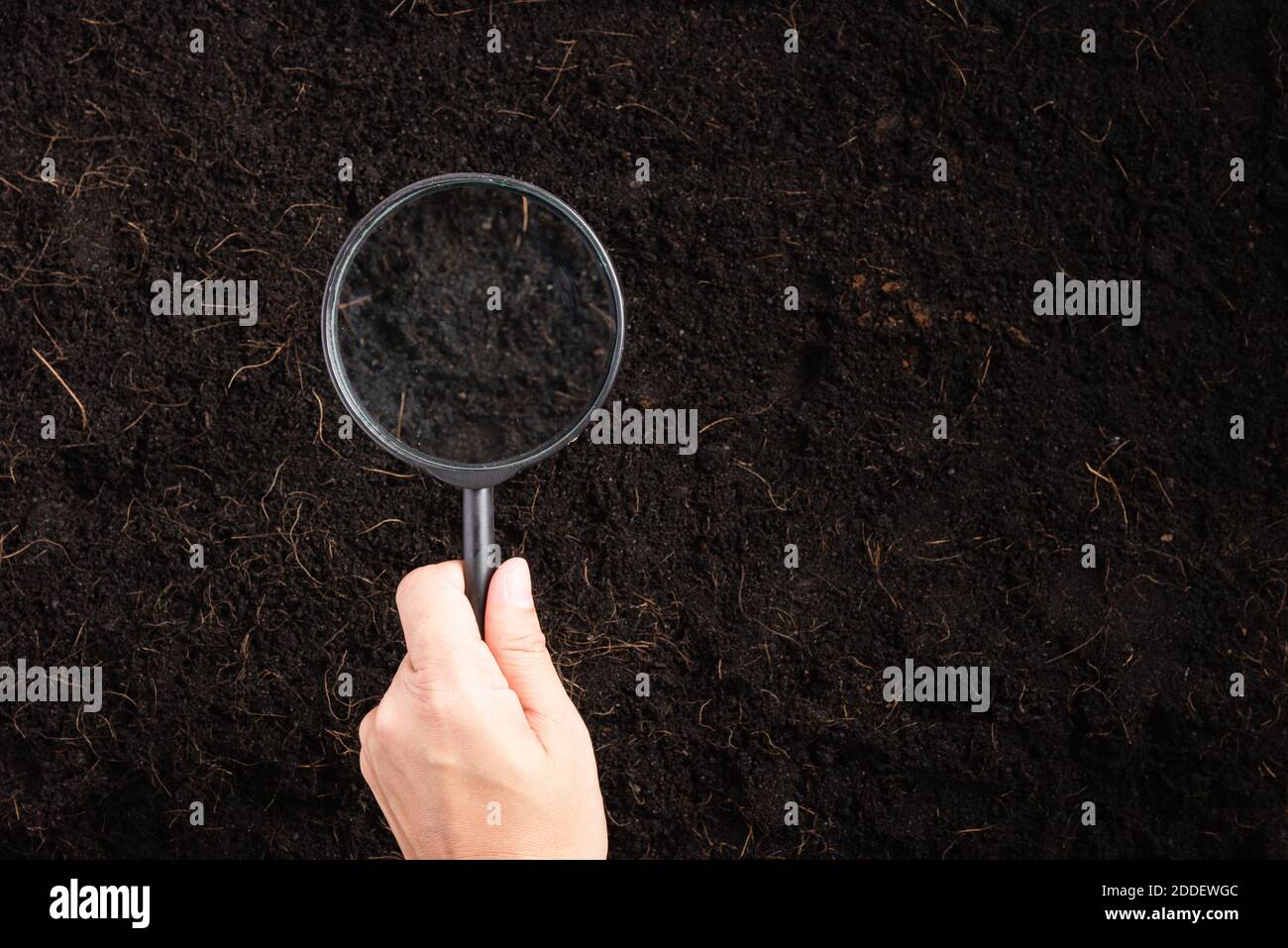 Top view the hand of researcher woman holding a magnifying glass on ...