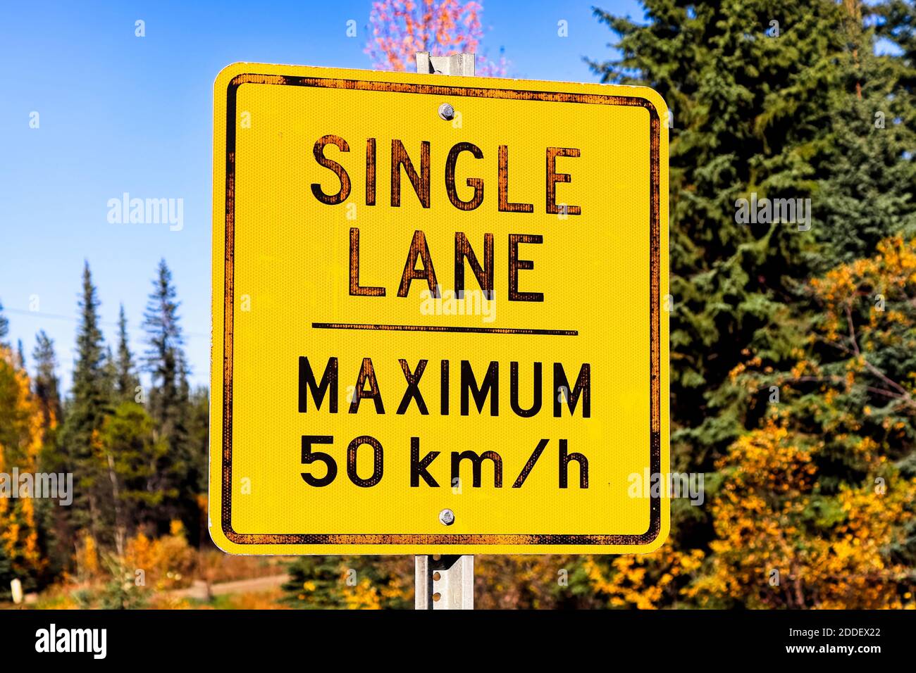 A warning Single Lane, Maxium 50 Km per hour sign Stock Photo - Alamy