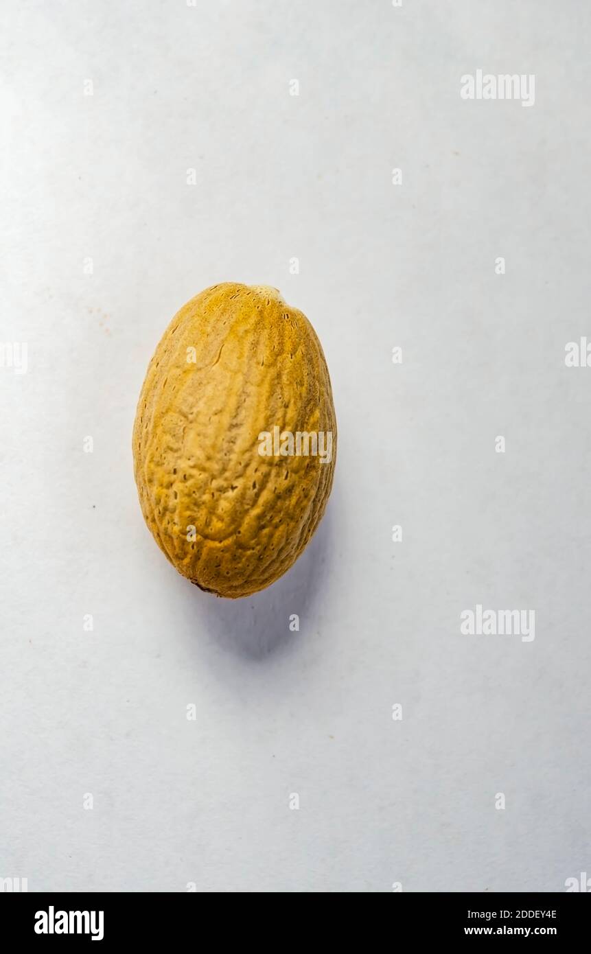 The kernel of a nutmeg is resting on a white background Stock Photo - Alamy