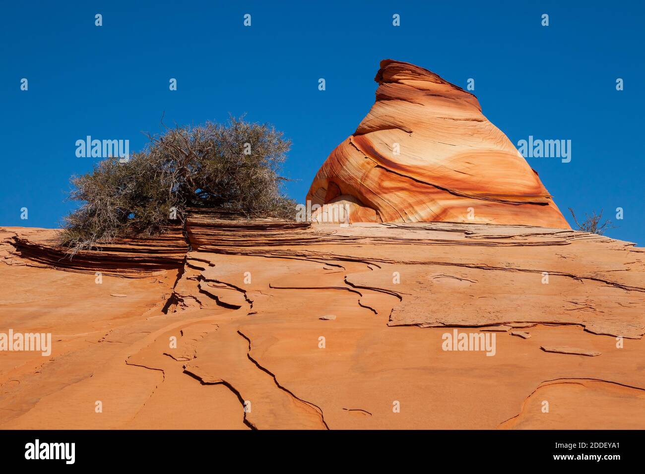 Striped rock, Coyote Buttes South, Vermilion Cliffs National Monument ...
