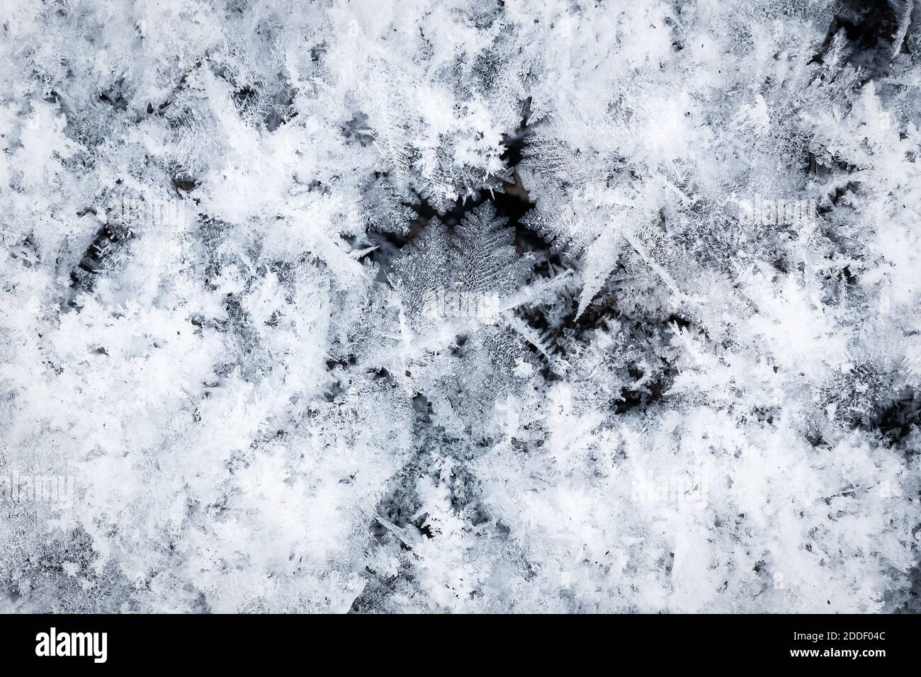 Snow and frost on the ground, background or texture. Winter bacground ...
