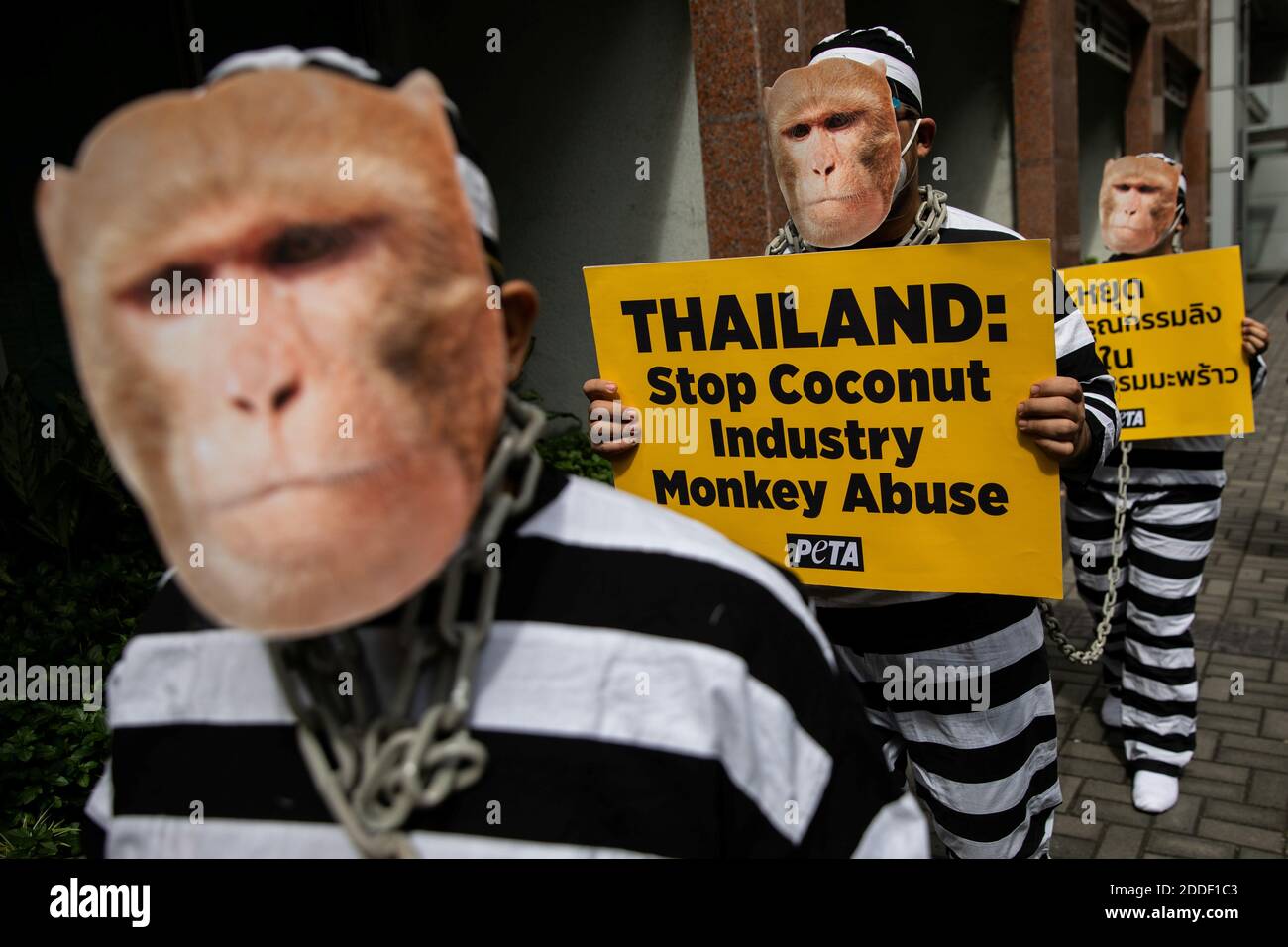 Dressed as monkeys hi-res stock photography and images - Alamy