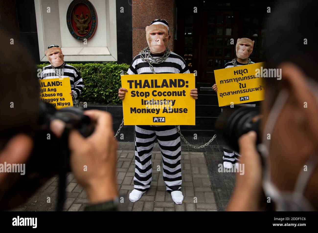 Dressed as monkeys hi-res stock photography and images - Alamy