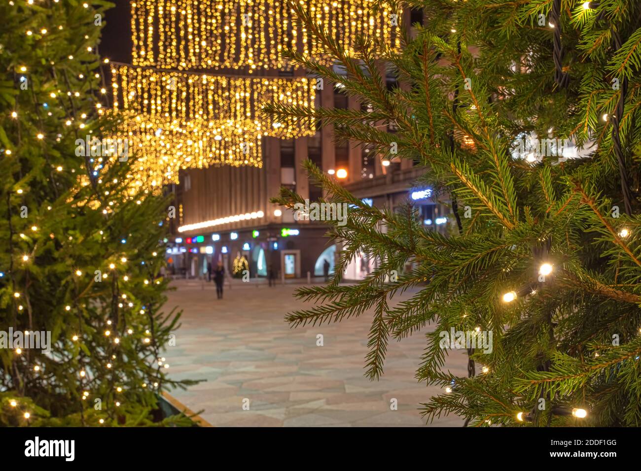 Christmas lights on the tree, against the backdrop of the streets in ...