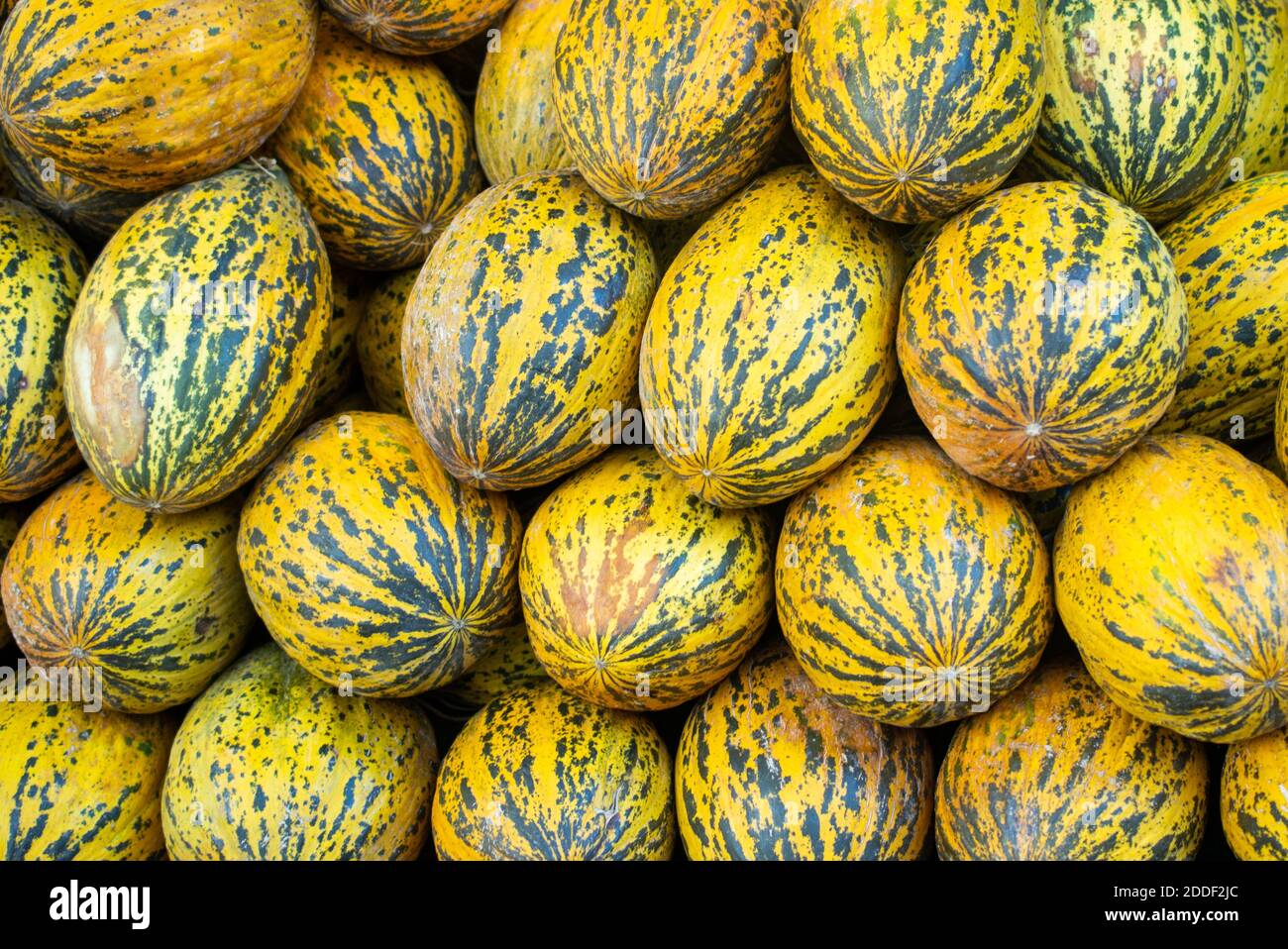 Beautiful tasty ripe melons at the market Stock Photo - Alamy