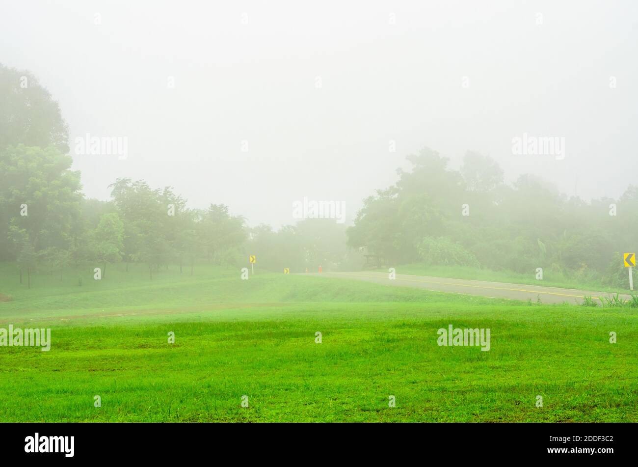 green lawn in the rain fog Stock Photo - Alamy
