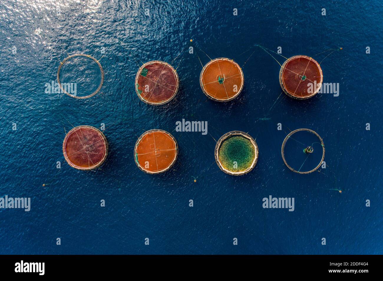 Drone view tuna farm rings hi-res stock photography and images - Alamy