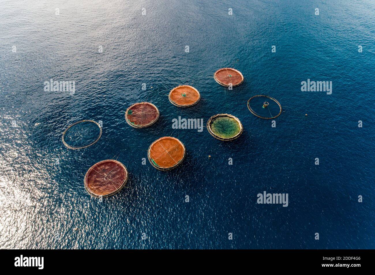 Drone view tuna farm rings hi-res stock photography and images - Alamy