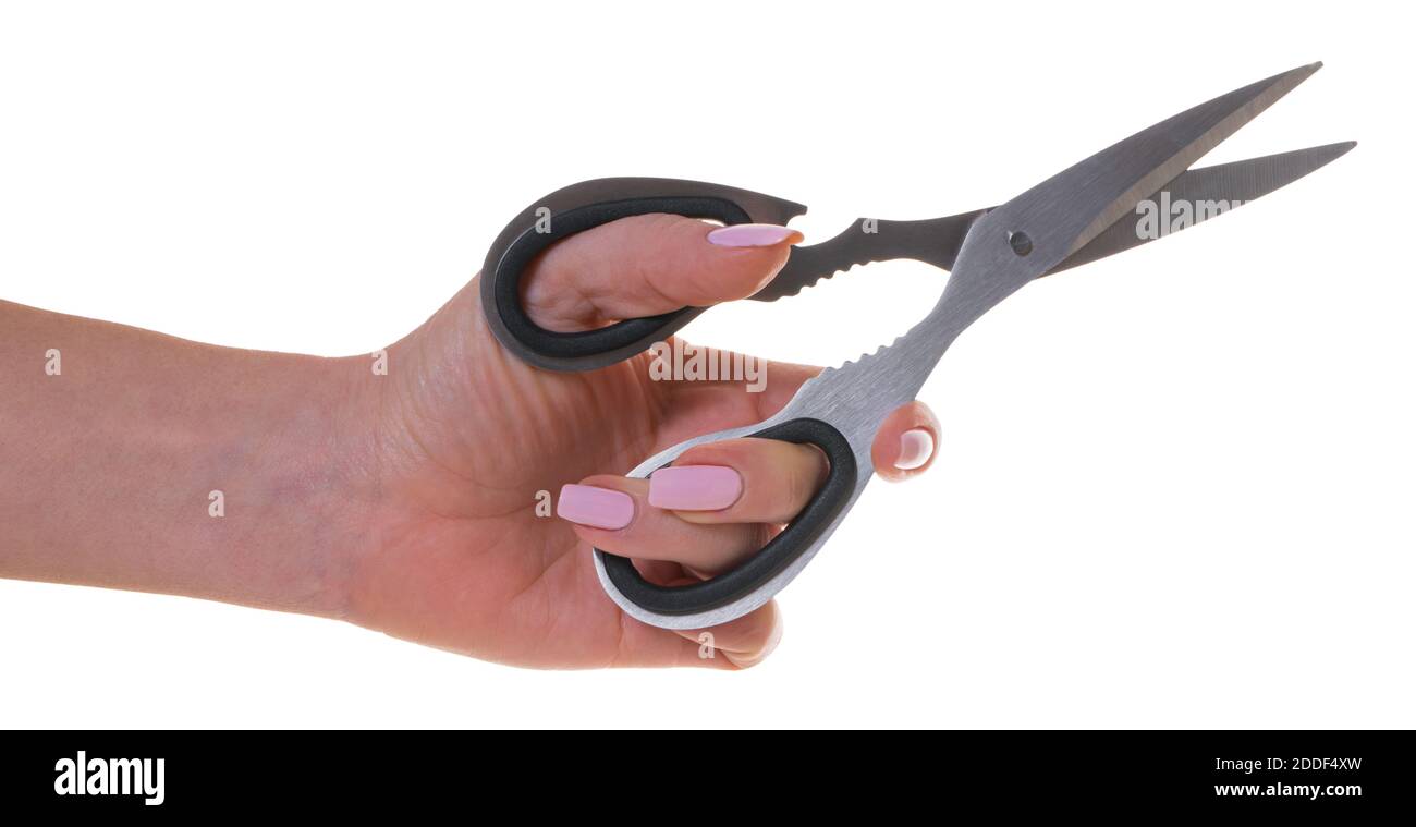 kitchen scissors in female hand on white isolated background Stock ...