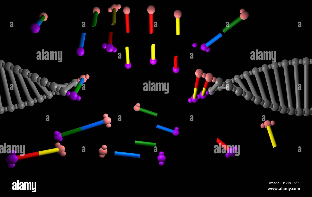 Colorful DNA molecule . DNA editing, repair, engineering. Extraction of ...