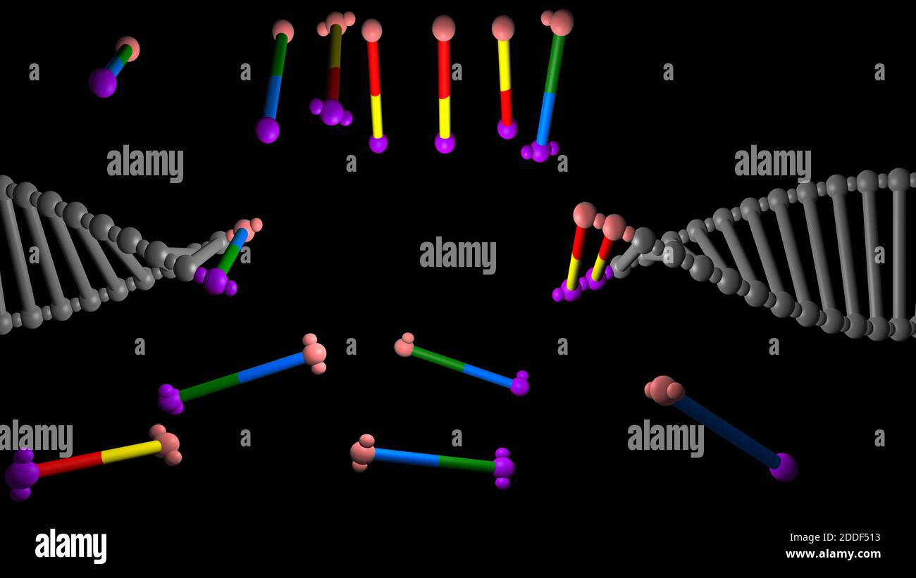 Rna segments hi-res stock photography and images - Alamy