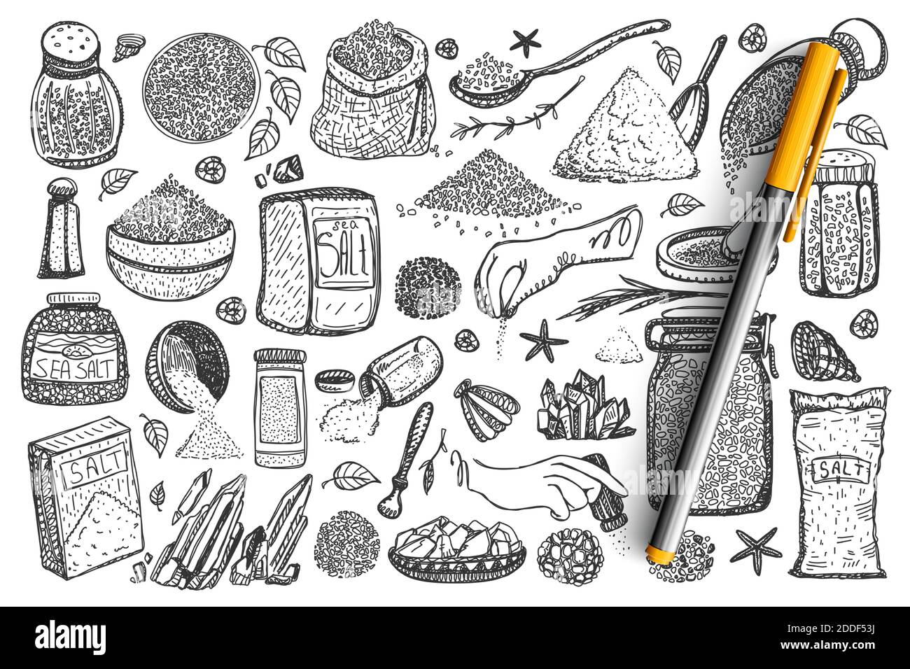 Salt doodle set. Collection of cooking spices sea salty condiments in ...