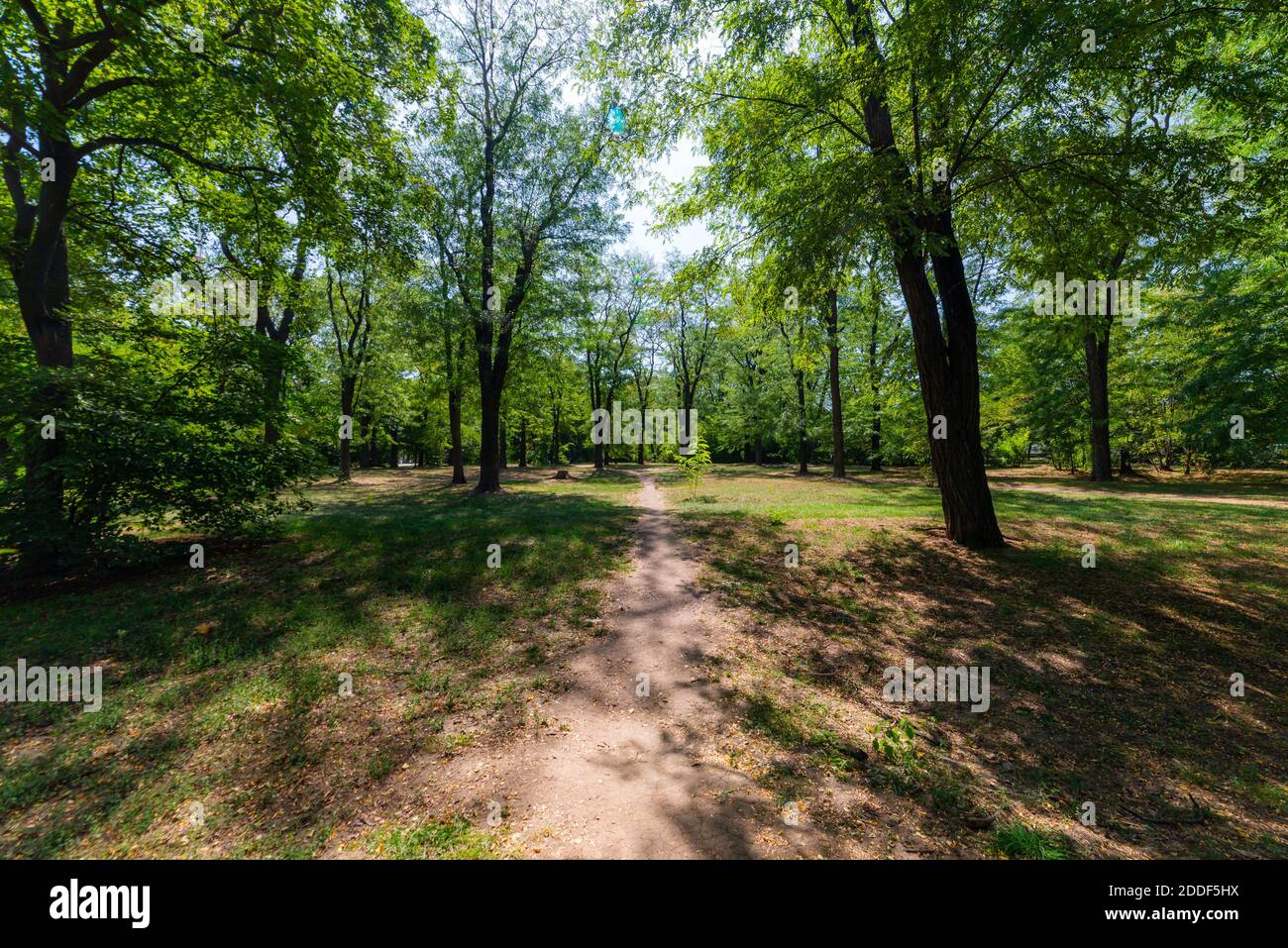 Park forest ground trail natural outdoor path way for walking and ...