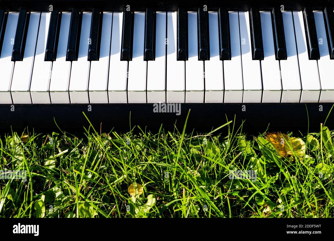 Piano Keyboard on the Green Grass with a Sunlight Stock Photo - Alamy