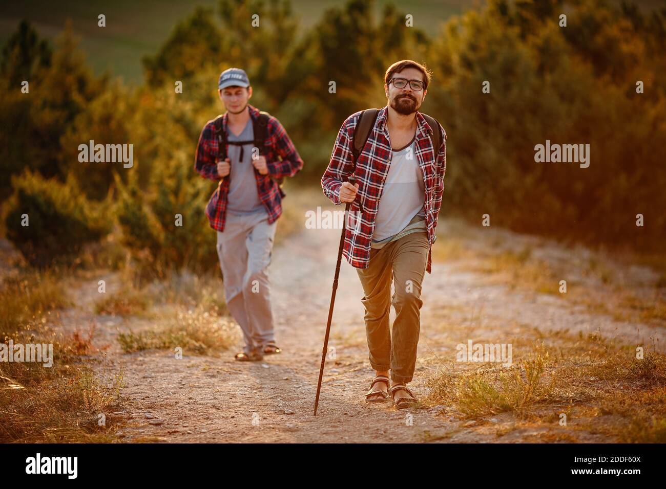 two men hikers enjoy a walk in nature, sunset time in summer. enjoying ...