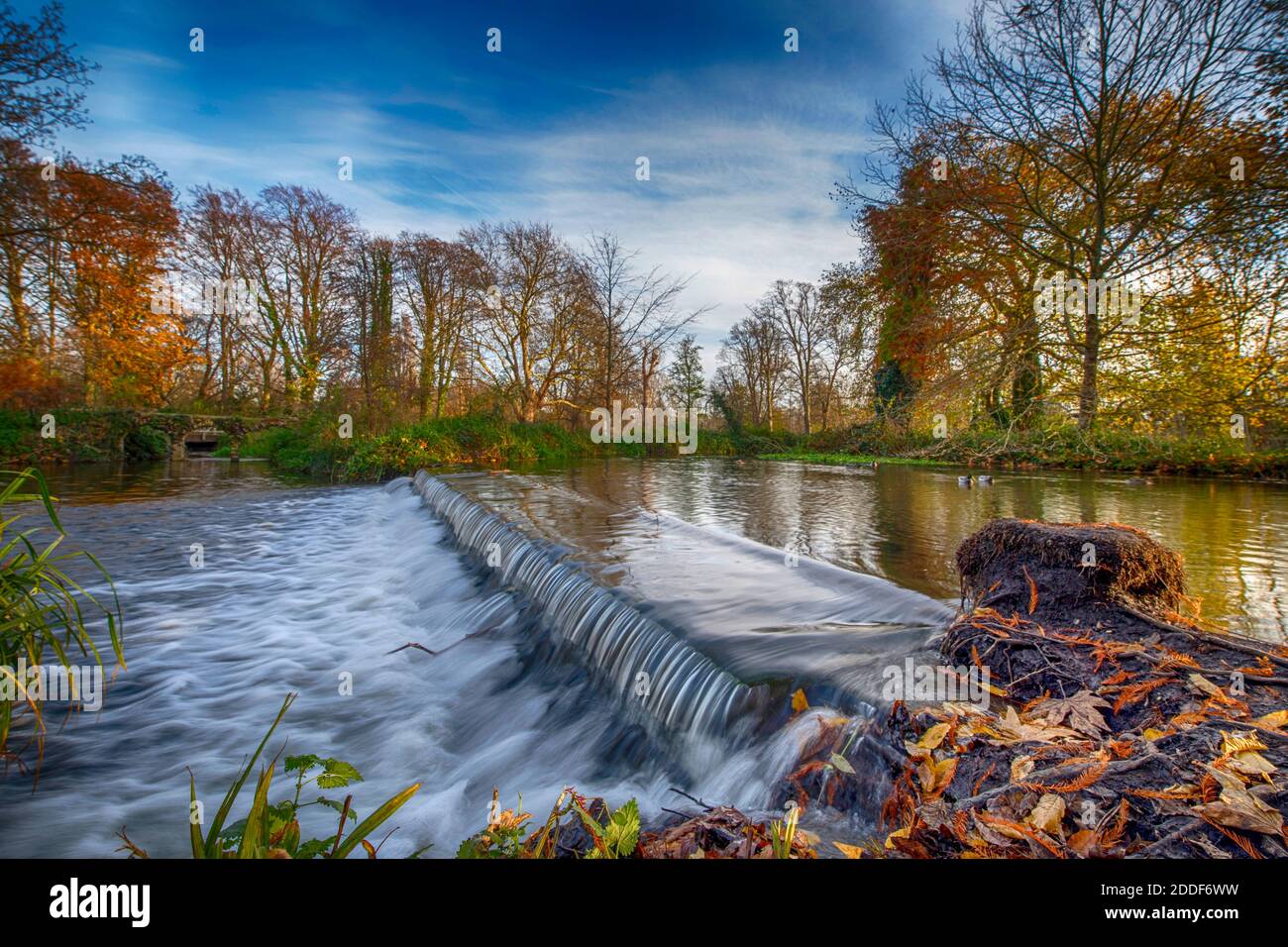 Autumn colours and hazy sunshine in Morden Hall Park, south west London ...