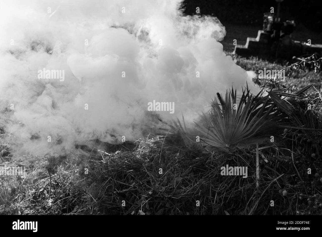 Wildfire burning in countryside hi-res stock photography and images - Alamy