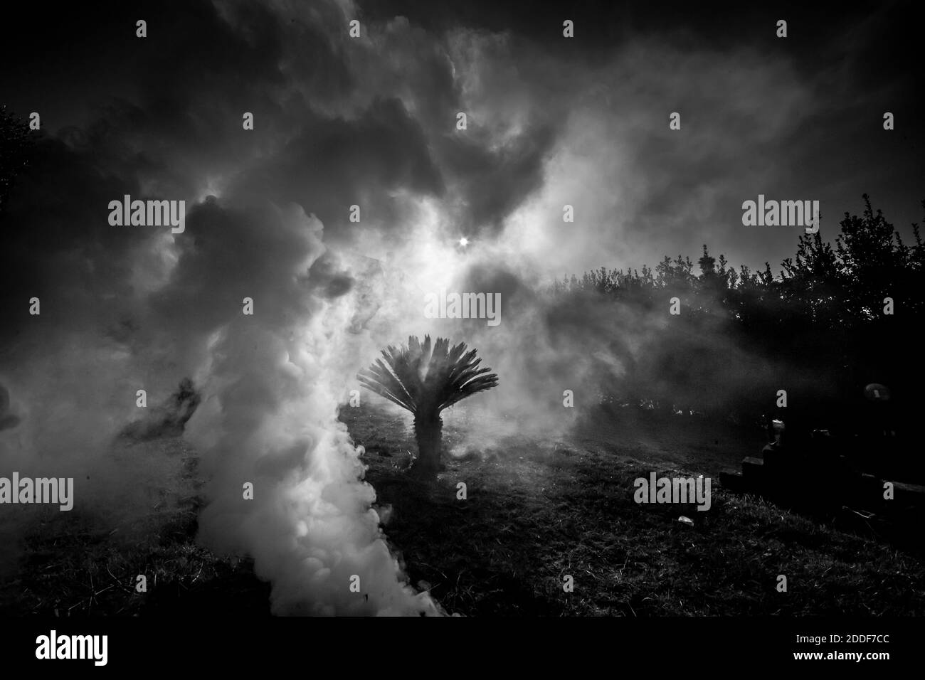 Fire in forest smoke Black and White Stock Photos & Images - Alamy