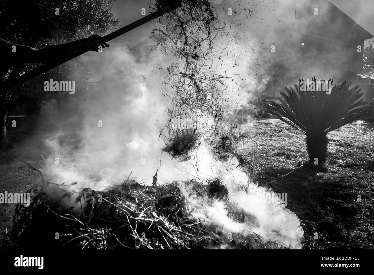 Fire in forest smoke Black and White Stock Photos & Images - Alamy