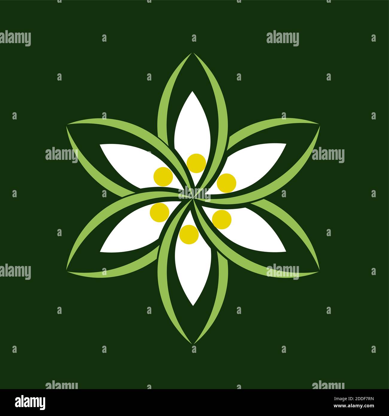 Vector sign abstract edelweiss Stock Vector Image & Art - Alamy