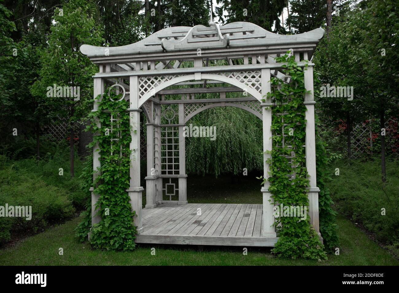 Simple white gazebo. Manicured lawn, dense forest Stock Photo - Alamy