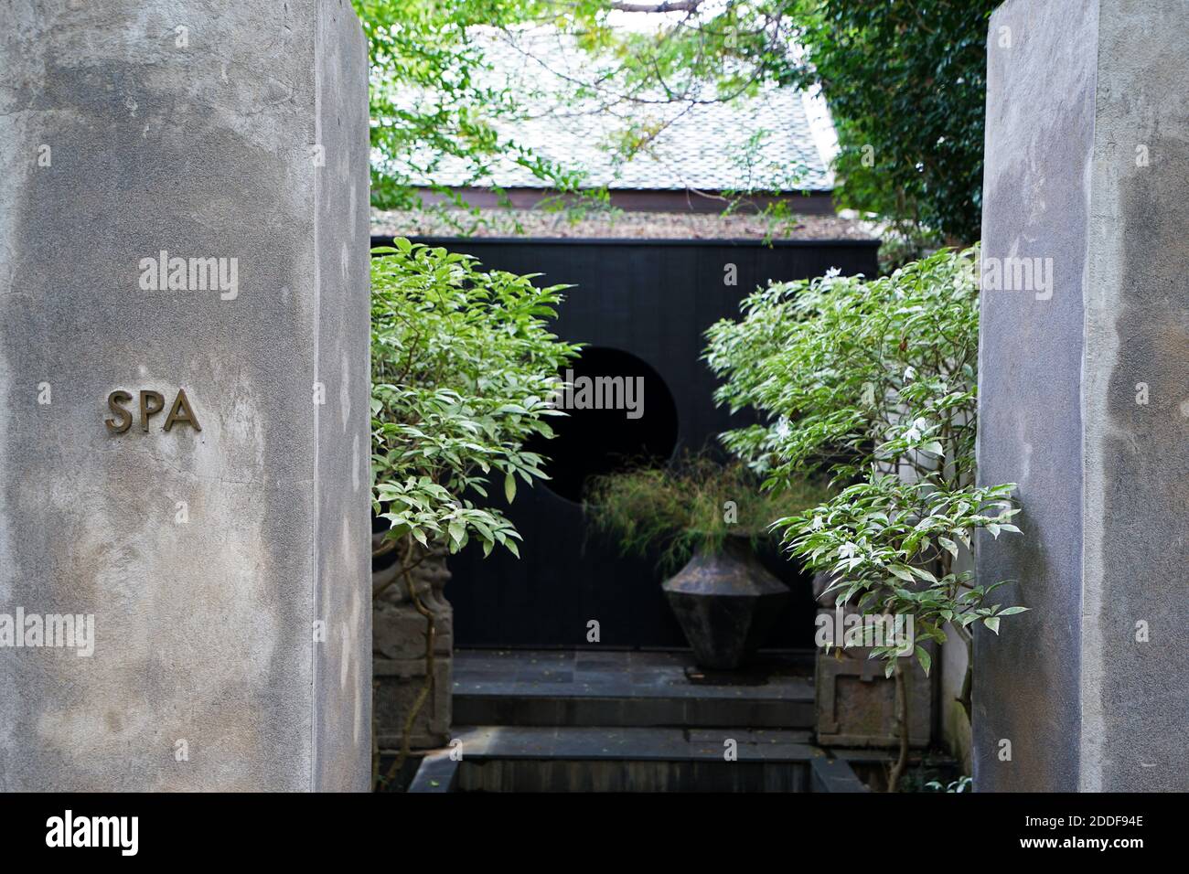 Exterior ecology design and natural architecture of Spa and wellness ...