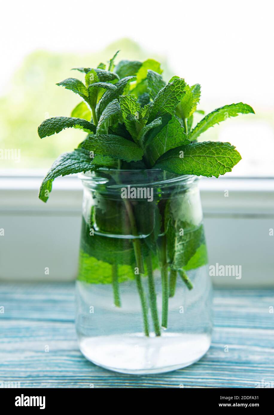 Fresh mint leaves in a small glass jar Stock Photo - Alamy