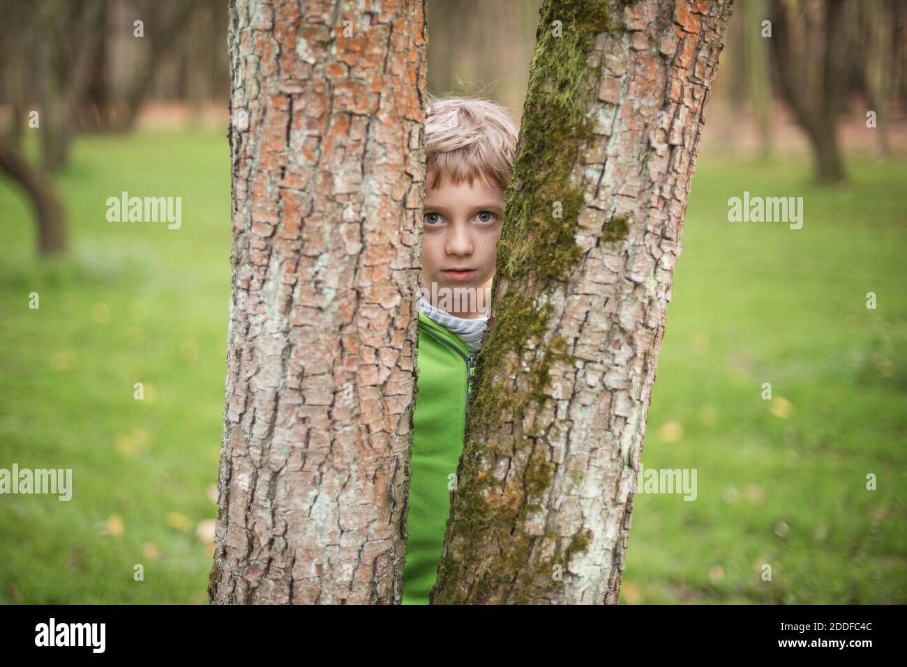 Portrait of young boy between two trees in the orchard Stock Photo - Alamy