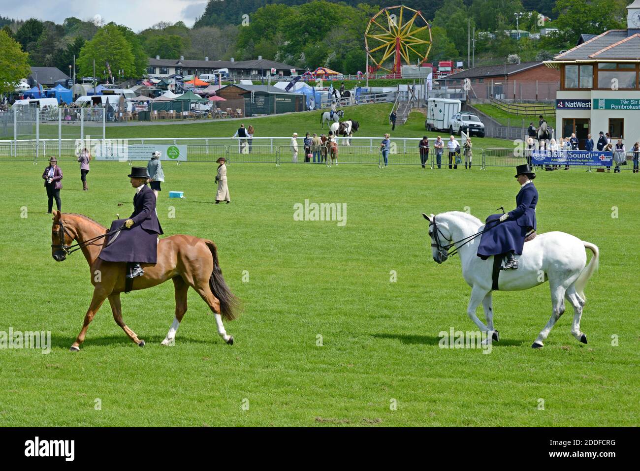 Woman horse riding sidesaddle hi-res stock photography and images - Alamy