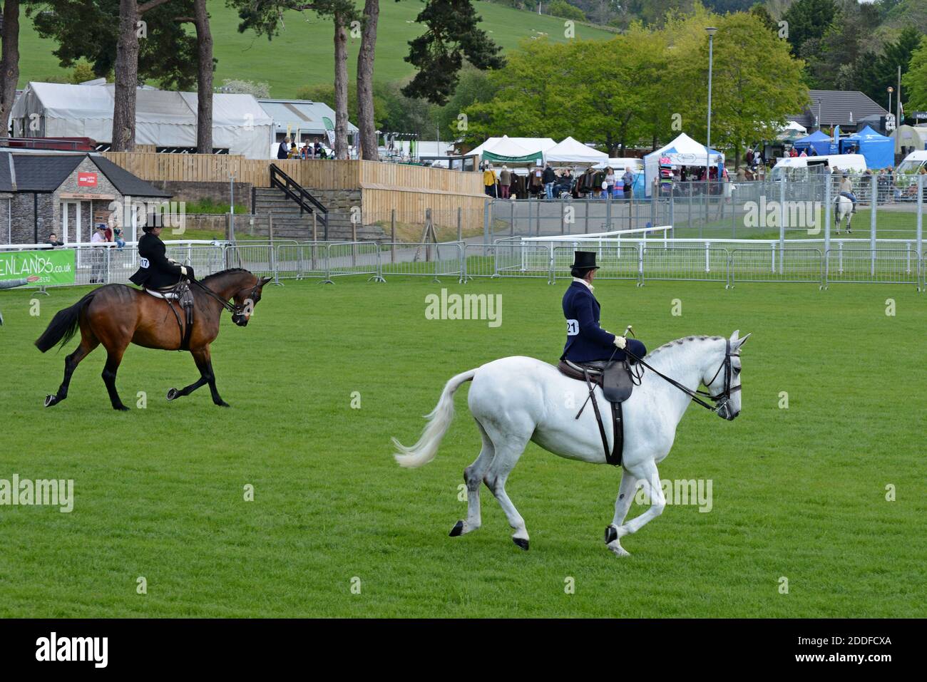 Women riding side saddle in a competition at the Royal Welsh spring ...