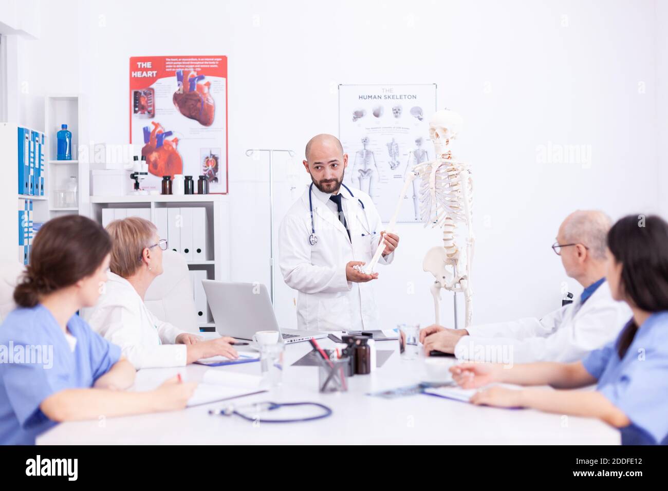 Radiologyanatomy hi-res stock photography and images - Alamy